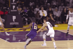 Lebron James Poster Dunk GIF | GIFDB.com