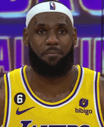 Lebron Missing Dunk Disappointed Face GIF | GIFDB.com