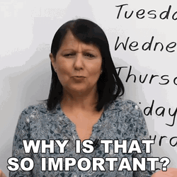 Lecturer Asks Important Question GIF | GIFDB.com
