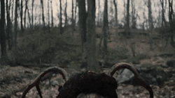 Legend Of Avantris Wendigo GIF | GIFDB.com