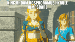 Legend Of Zelda Tears Of The Kingdom King Rhoam GIF | GIFDB.com