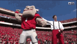 Let's Go Georgia Football Team GIF | GIFDB.com