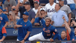 Lfgm New York Mets Winning Reaction GIF | GIFDB.com