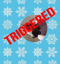 Liberal Whos Triggered GIF | GIFDB.com