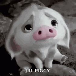 Piglet Crying