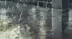 Little Droplets Anime Scenery GIF | GIFDB.com