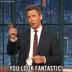Live Host Seth Meyers You Look Marvelous Fantastic GIF | GIFDB.com