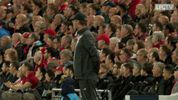 Liverpool Fc Klopp Celebrating GIF | GIFDB.com