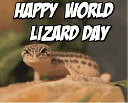 Happy World Lizard Day GIF | GIFDB.com