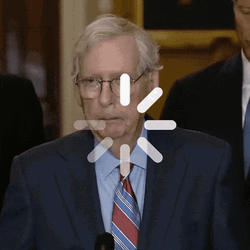 Loading Mitch Mcconnell Turtle GIF | GIFDB.com