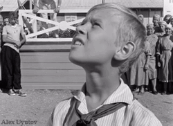 Yukari Bacan Takeba Looking Up GIF | GIFDB.com