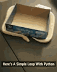 Loop Python Snake Box GIF | GIFDB.com
