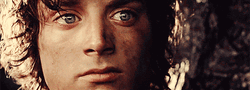 Lord Of The Rings Frodo Go Home GIF | GIFDB.com