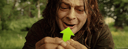 Bilbo Baggins Middle Finger Gif