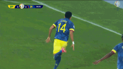Luis Diaz Stumble On Field GIF | GIFDB.com