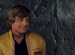Luke Skywalker On Yellow Jacket GIF | GIFDB.com