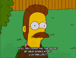 Lust For Life Ned Flanders The Simpsons GIF | GIFDB.com