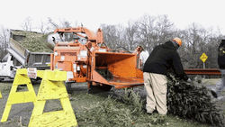 Machine Generating Mulch From Tree With Leaves GIF | GIFDB.com