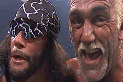 Macho Man And Hulk Hogam Shouting GIF | GIFDB.com