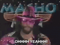 Macho Man The Participant GIF | GIFDB.com