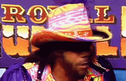 Macho Man Thumbs Up Dig It GIF | GIFDB.com