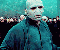 Mad Lord Voldemort Staring GIF | GIFDB.com