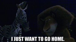 Madagascar I Wanna Go Home GIF | GIFDB.com