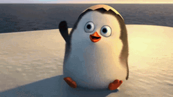 Madagascar GIFs | GIFDB.com