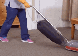 Maid Vacuum Cleaning On Carpet GIF | GIFDB.com