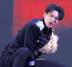 Man Dancing Mingyu Kpop Seventeen GIF | GIFDB.com