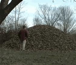 Man Jumping On Piled Falling Leaves GIF | GIFDB.com