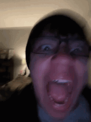 Man Laughing Screaming Meme GIF | GIFDB.com