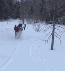 Man On A Snowmobile Crashing To A Tree GIF | GIFDB.com