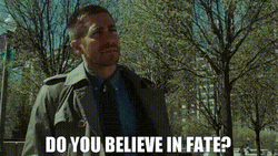 Man Questioning About Believing In Fate GIF | GIFDB.com