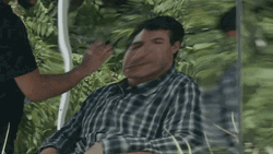 Man's Distorted Reflection On Mirror GIF | GIFDB.com