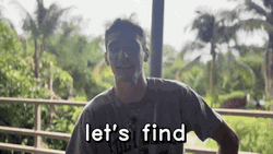 Man Saying Let's Find GIF | GIFDB.com