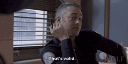 Man Says That's Valid GIF | GIFDB.com