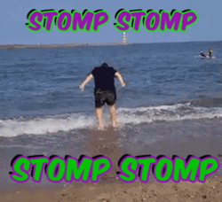 Man Stomp In Beach GIF | GIFDB.com