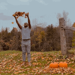 Man Throws Fall Leaf Up GIF | GIFDB.com