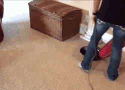 Man Vacuum Cleaning The Carpet GIF | GIFDB.com