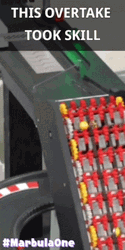 Marble Race GIF | GIFDB.com
