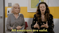 Maribeth Monroes All Emotions Are Valid GIF | GIFDB.com