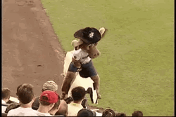 Mariners Win Mascot Moose Bull Ride GIF | GIFDB.com
