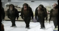 Marvelous Monkey Dance Group GIF | GIFDB.com