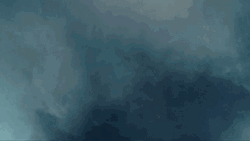 Mascot Costume Walks From The Mist GIF | GIFDB.com