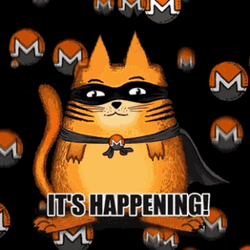 Masked Cat It's Happening GIF | GIFDB.com