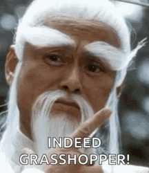 Master Kung Fu Indeed Grasshopper GIF | GIFDB.com