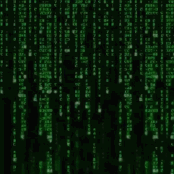 Matrix Code India Phyton GIF | GIFDB.com