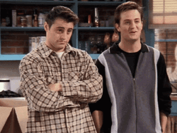 Matthew Perry That Sounds Good GIF | GIFDB.com
