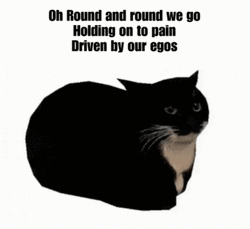 Maxwell Cat Meme Round And Round We Go GIF | GIFDB.com